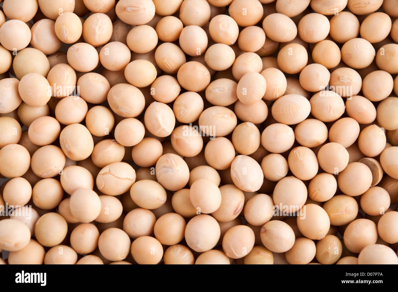 Soybeans background hi-res stock photography and images - Alamy