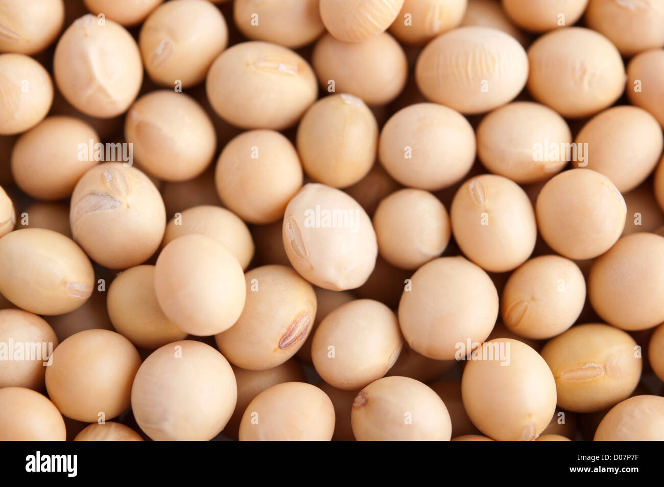 Organic soybeans background, non-genetic modified Stock Photo - Alamy