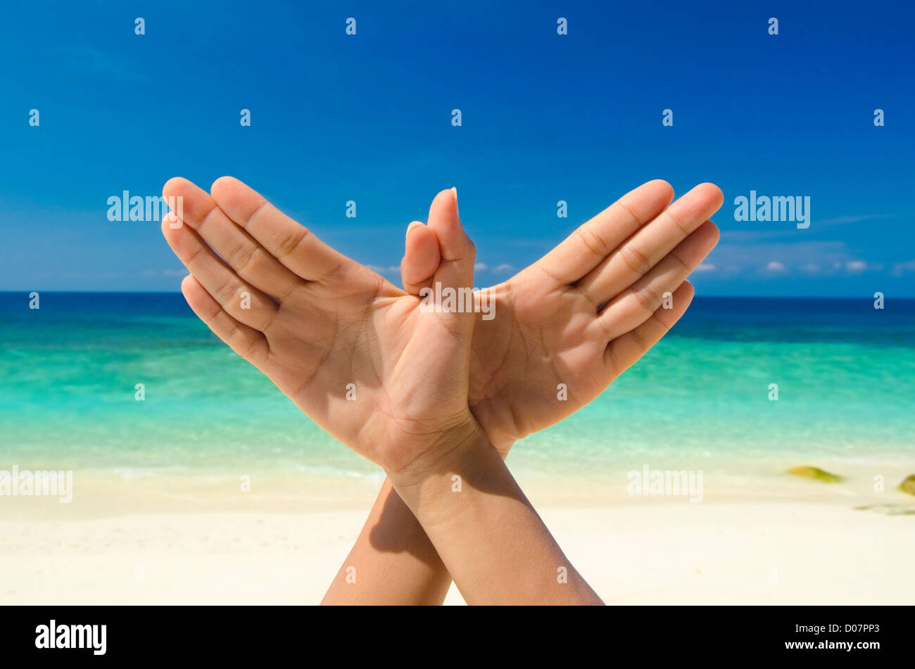 Conceptual hand gesture of Dove, world peace concept. Original hand ...