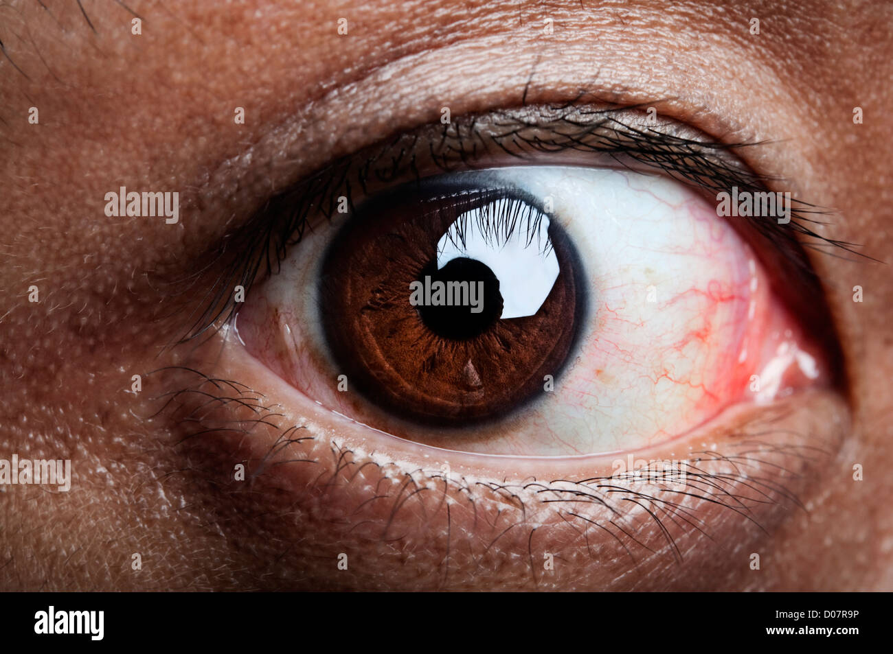 Close up on human eye, looking into camera Stock Photo - Alamy