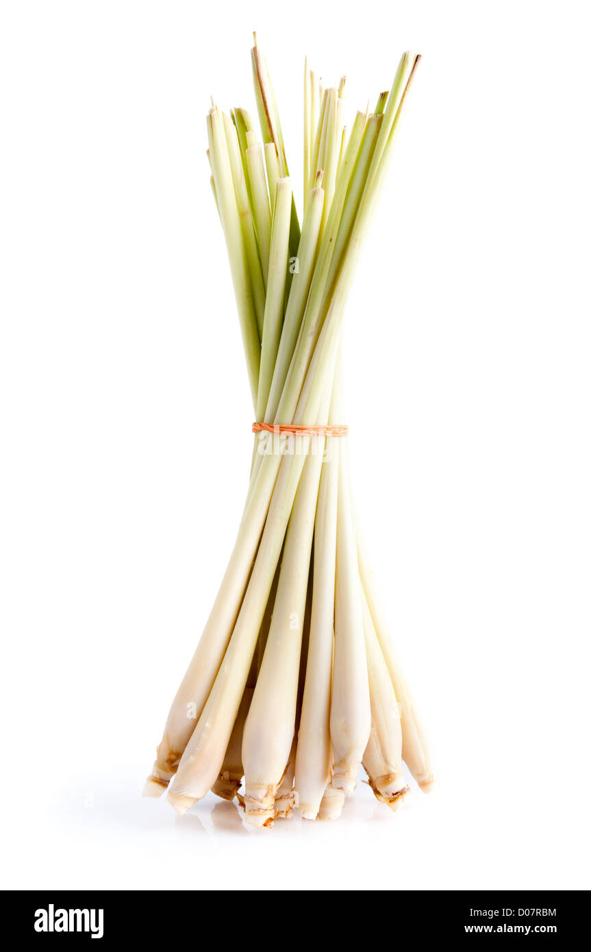 Bundle of Fresh Lemon Grass on white background Stock Photo - Alamy