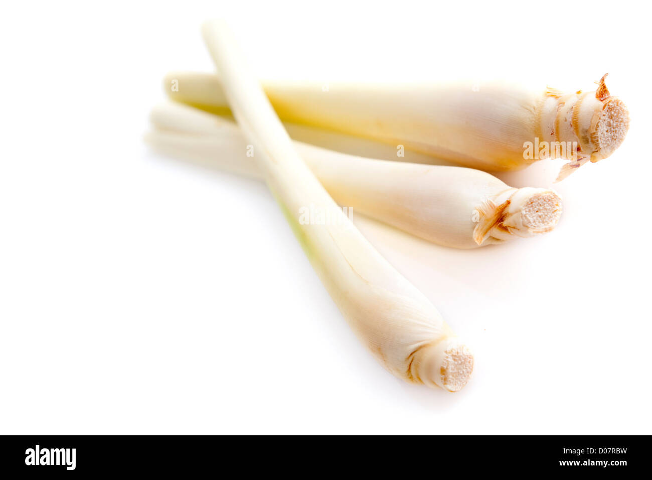 Fresh Lemon Grass isolated on white background Stock Photo - Alamy