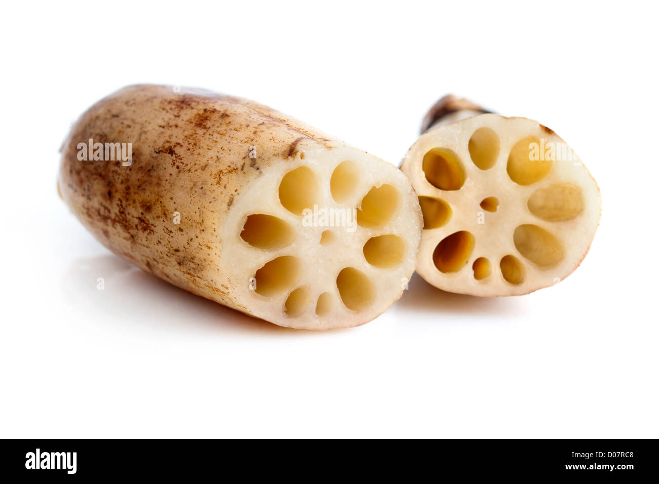Lotus root cross section hi-res stock photography and images - Alamy