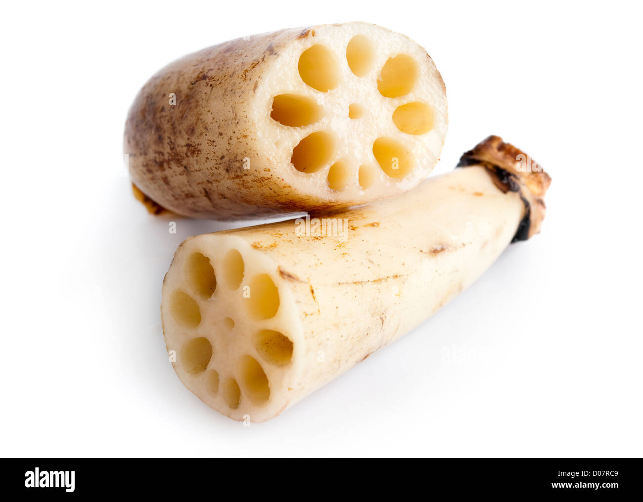 Close up Lotus root on white background Stock Photo - Alamy