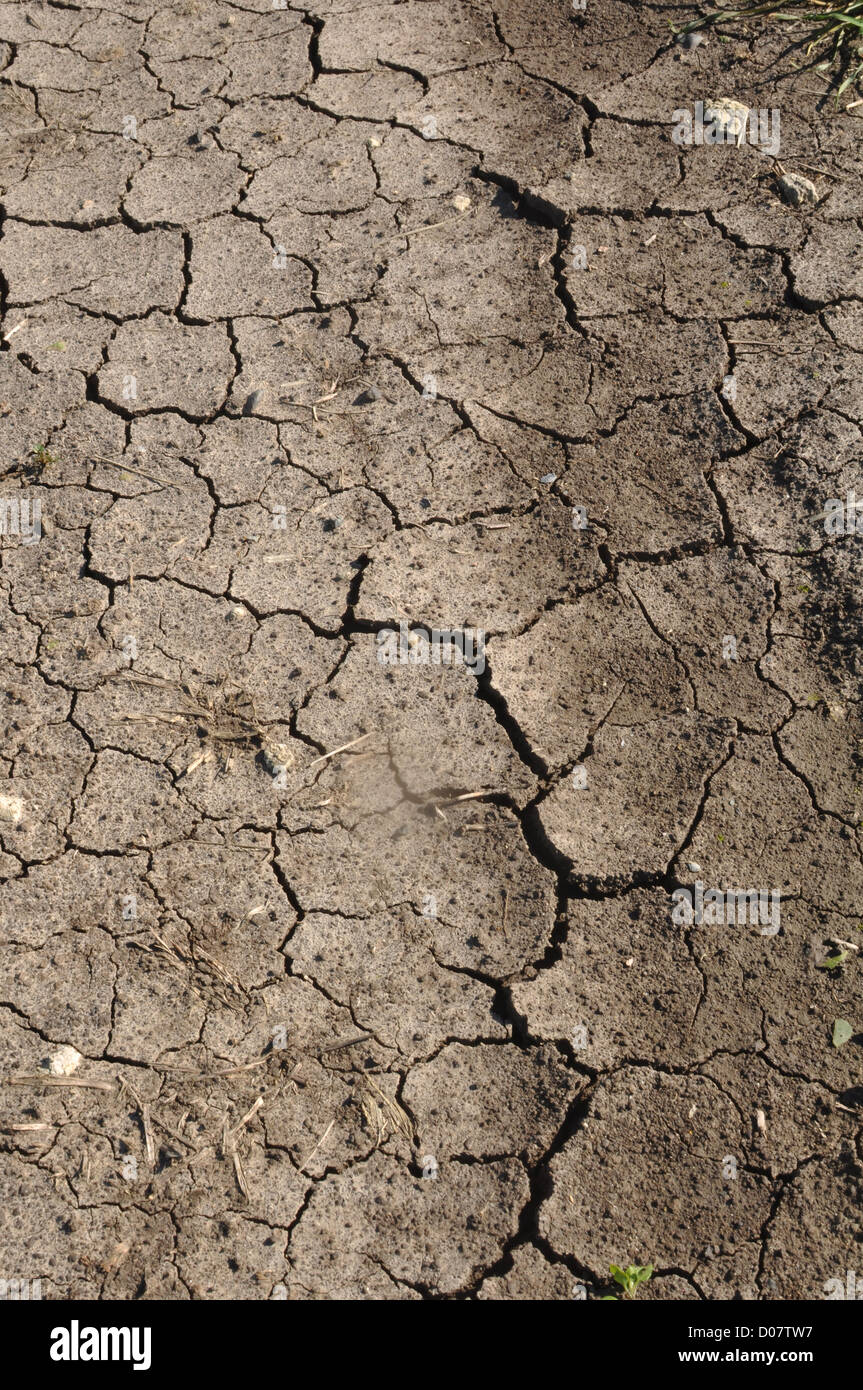 Mud brown hi-res stock photography and images - Alamy