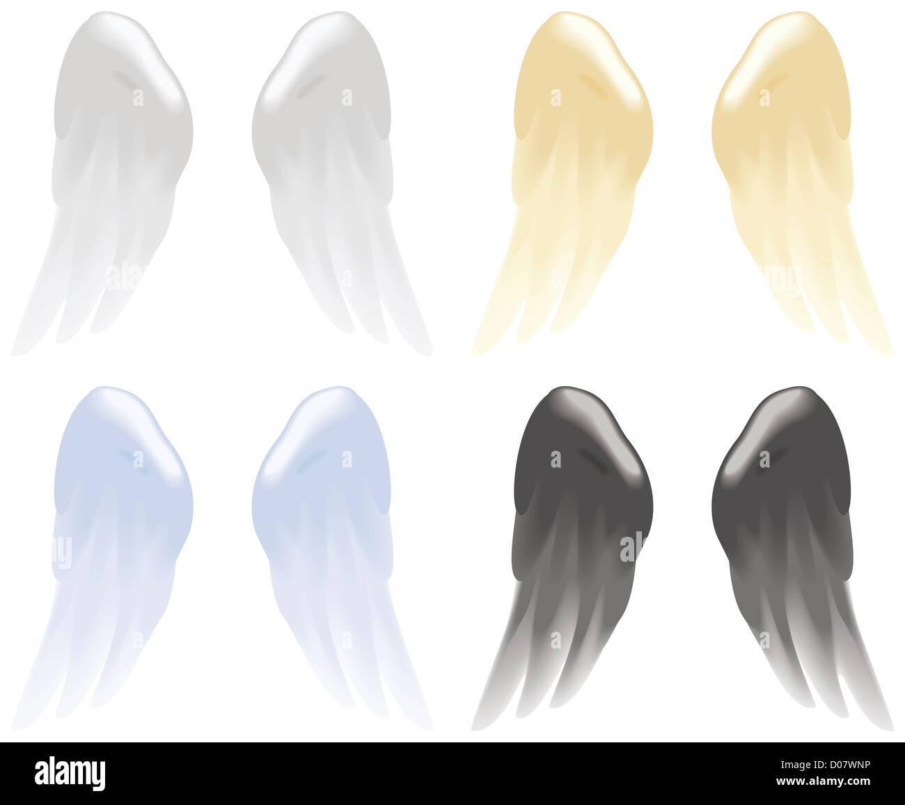 Soft angel wings in white, gold, blue and black isolated on white Stock ...