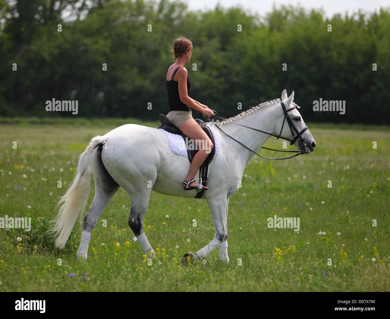 Beauty white girl horseback riding in the pasture Stock Photo - Alamy