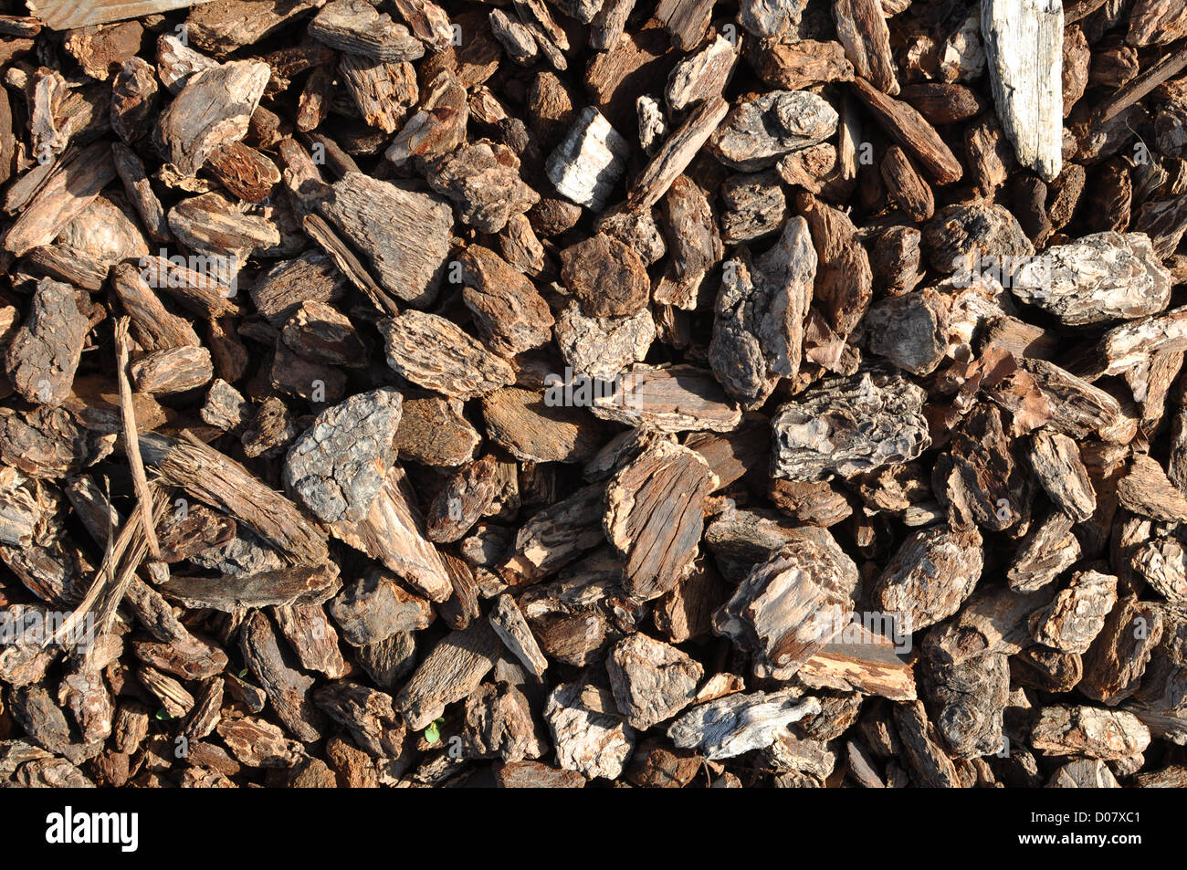 Natural Landscape Bark Background Stock Photo - Alamy