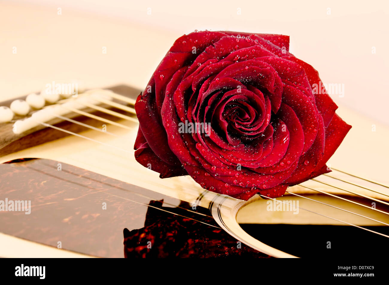 Red acoustic guitar red rose hi-res stock photography and images - Alamy