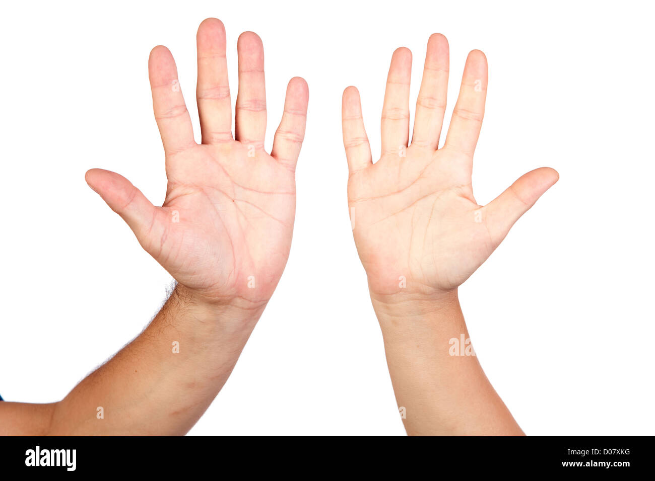 Two palms isolated on white background Stock Photo - Alamy