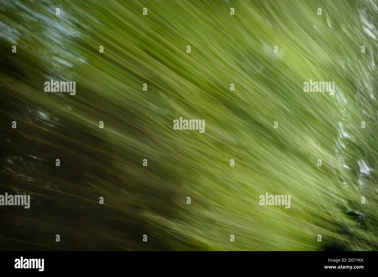 Natural Background Tree Motion Blur with Blue Sky Stock Photo - Alamy