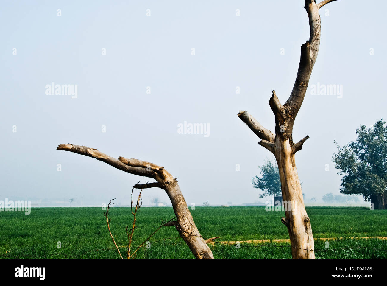 Haryana Landscape Stock Photos & Haryana Landscape Stock Images - Alamy