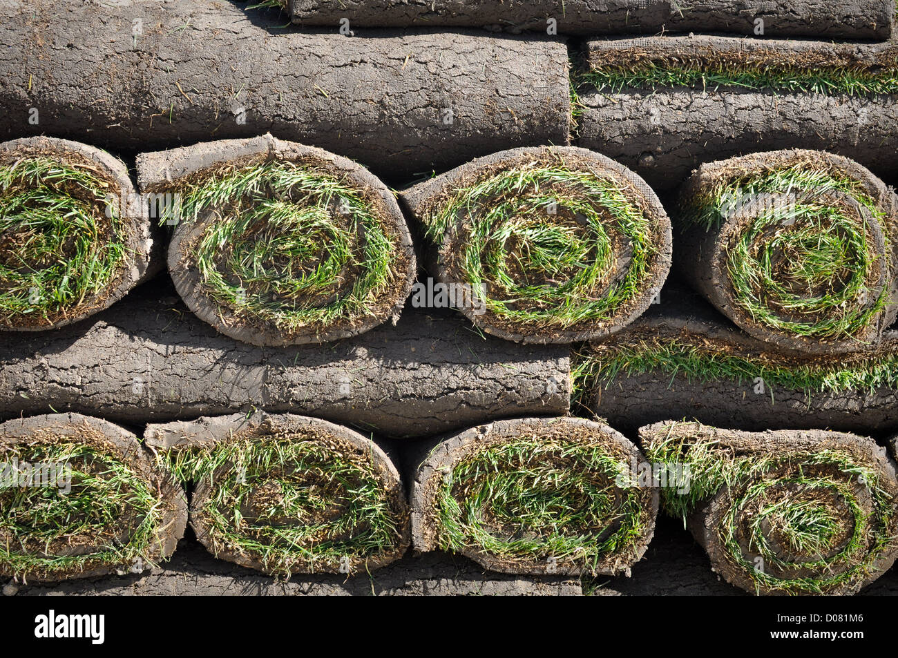Green Grass Sod Background Stock Photo - Alamy