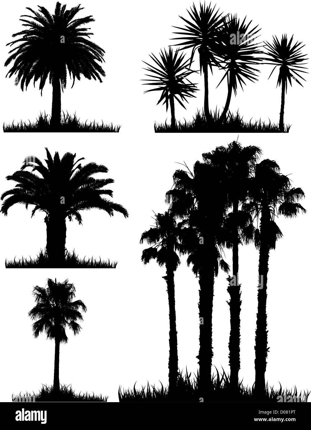 A collection of silhouettes of tropical trees Stock Photo - Alamy