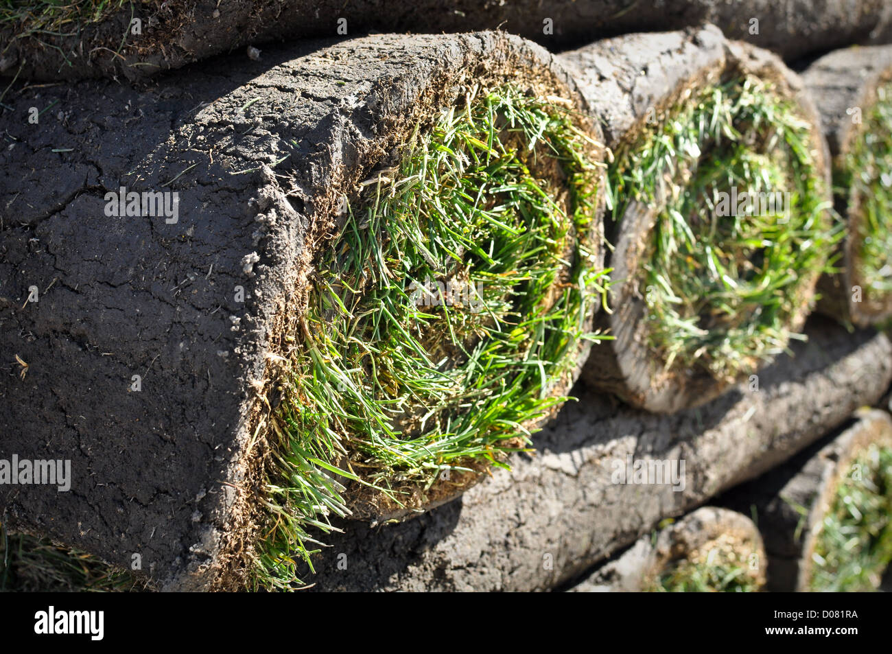 Green grass sod hi-res stock photography and images - Alamy