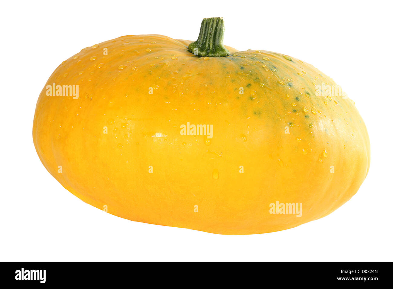 yellow squash isolated on a white background Stock Photo - Alamy