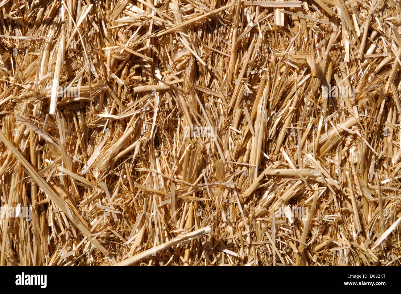 Straw hi-res stock photography and images - Alamy