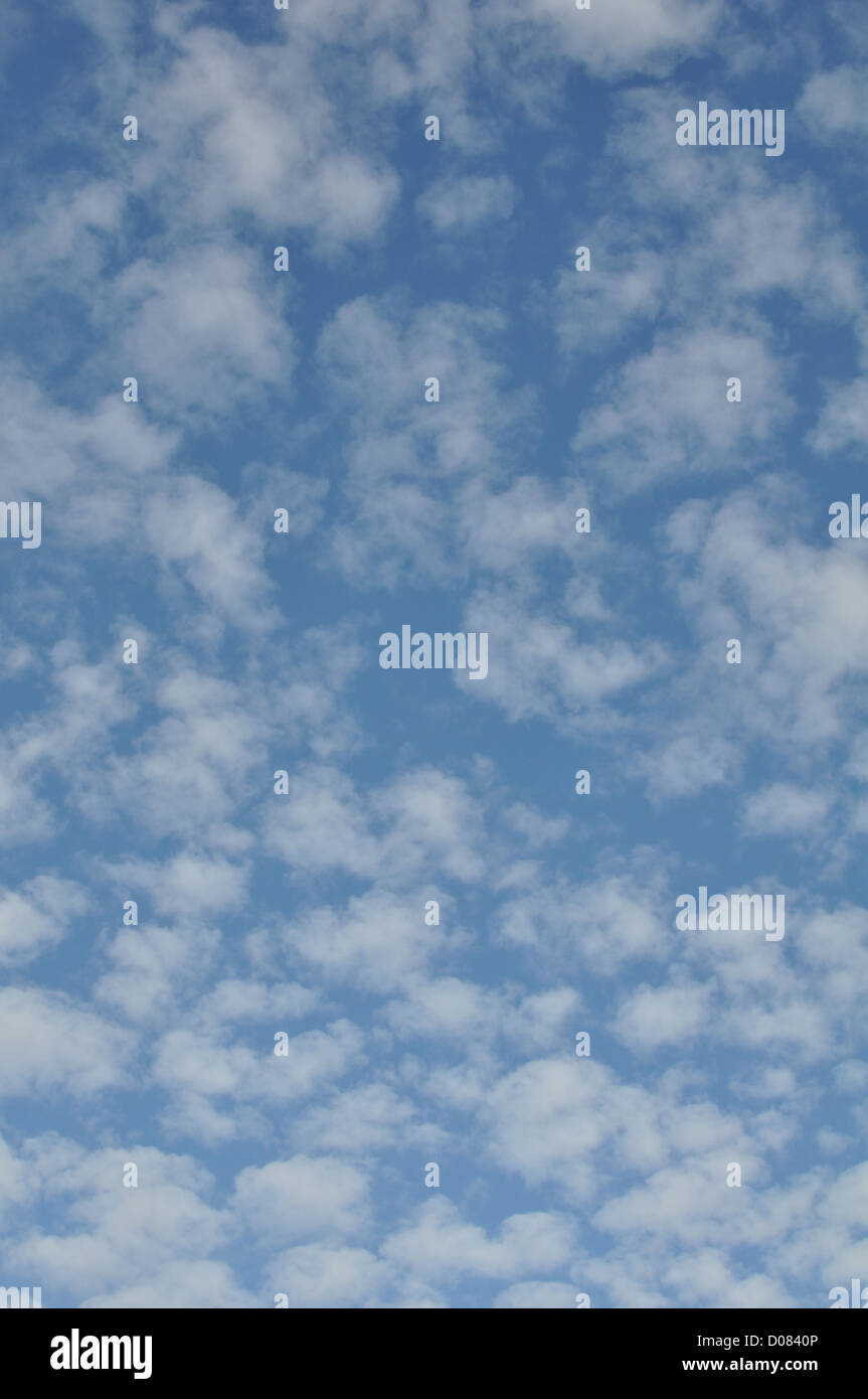 Vertical Beautiful Blue Sky and White Cloud Background Stock Photo - Alamy