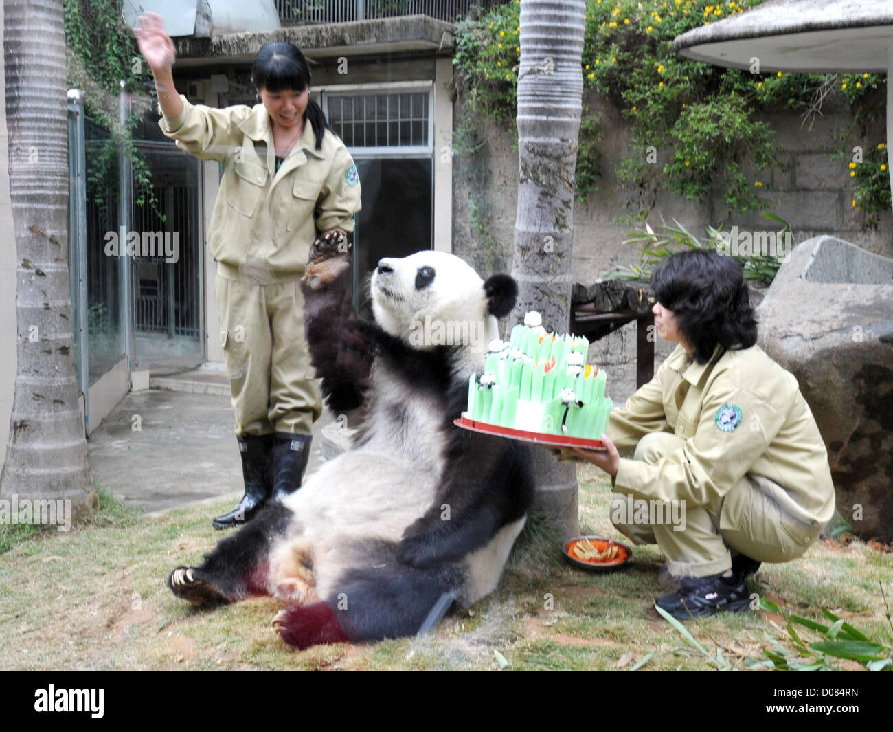 Panpan the panda's birthday Panpan, the archetype for the mascot of the ...