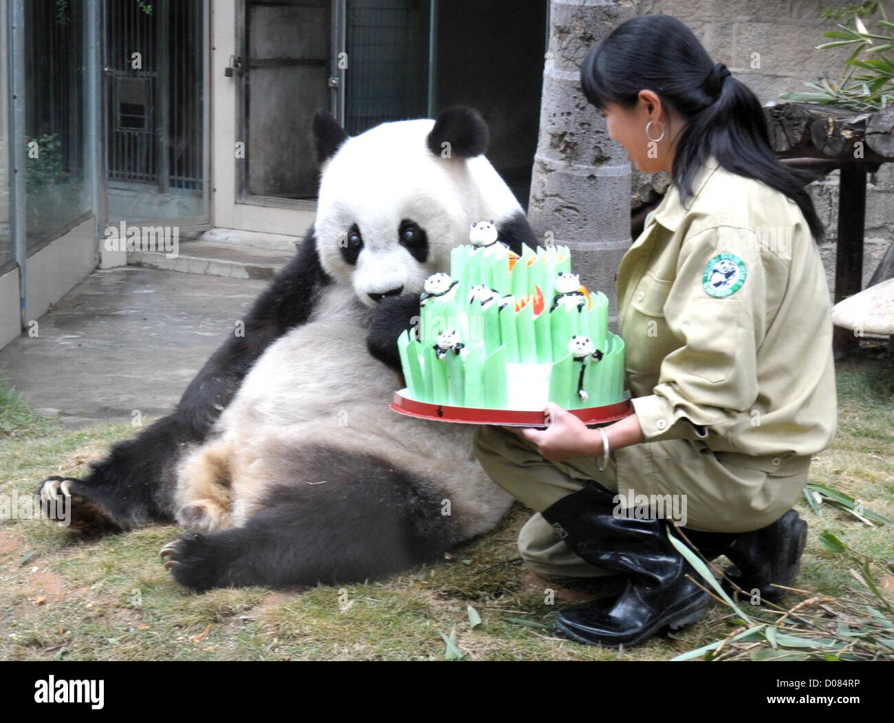 Panpan the panda's birthday Panpan, the archetype for the mascot of the ...