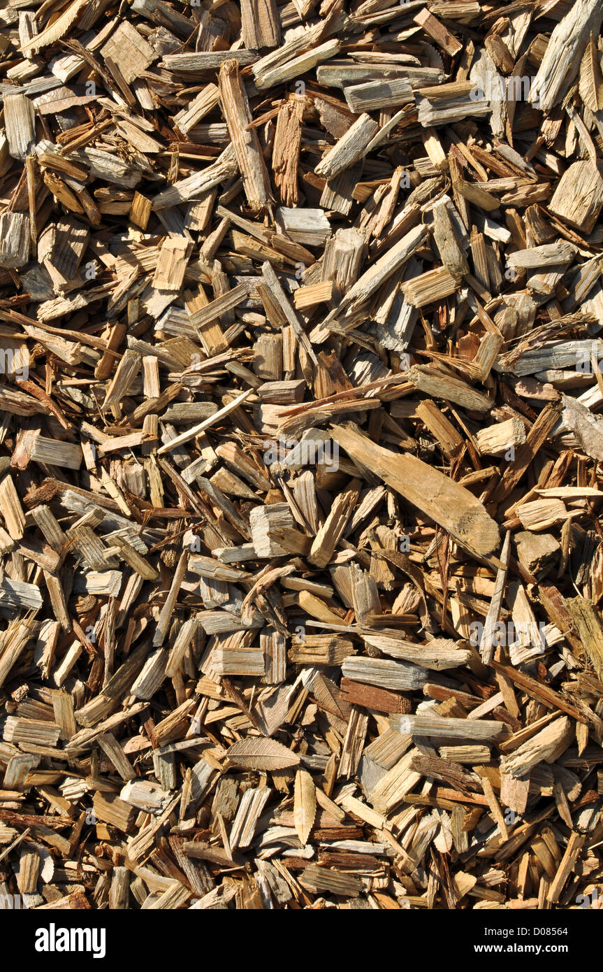 Wood chip garden hi-res stock photography and images - Alamy