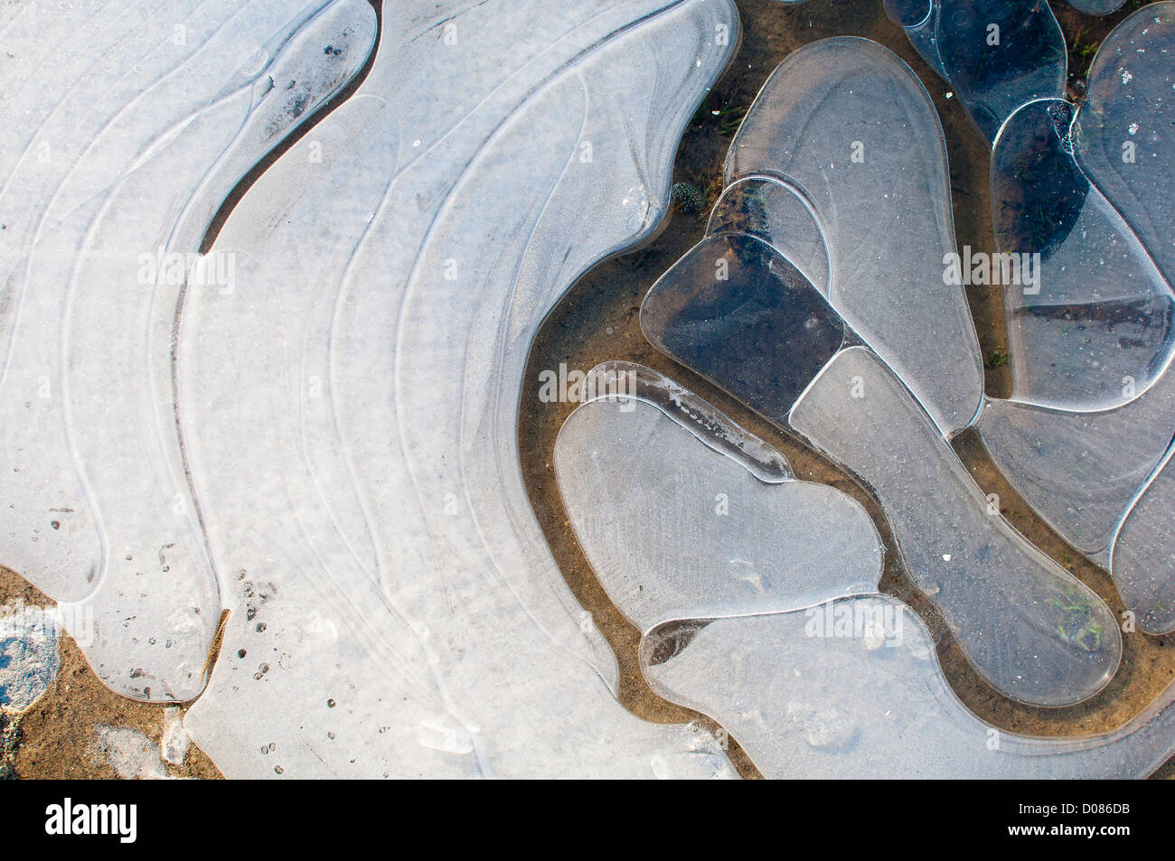 ice background - frozen puddle Stock Photo - Alamy