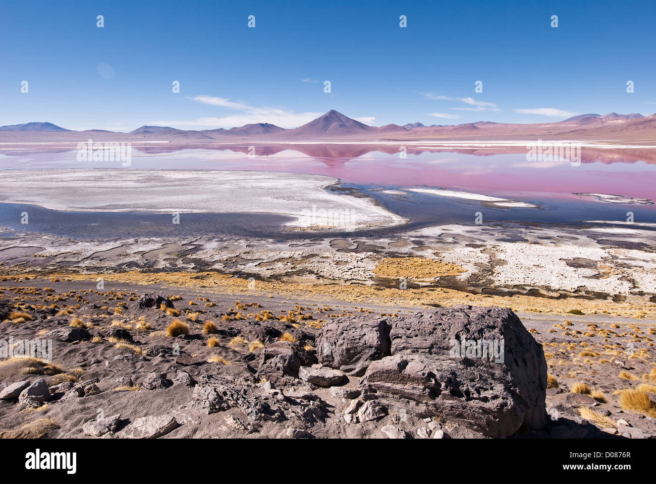 Laguna Colorada, Bolivia Stock Photo - Alamy