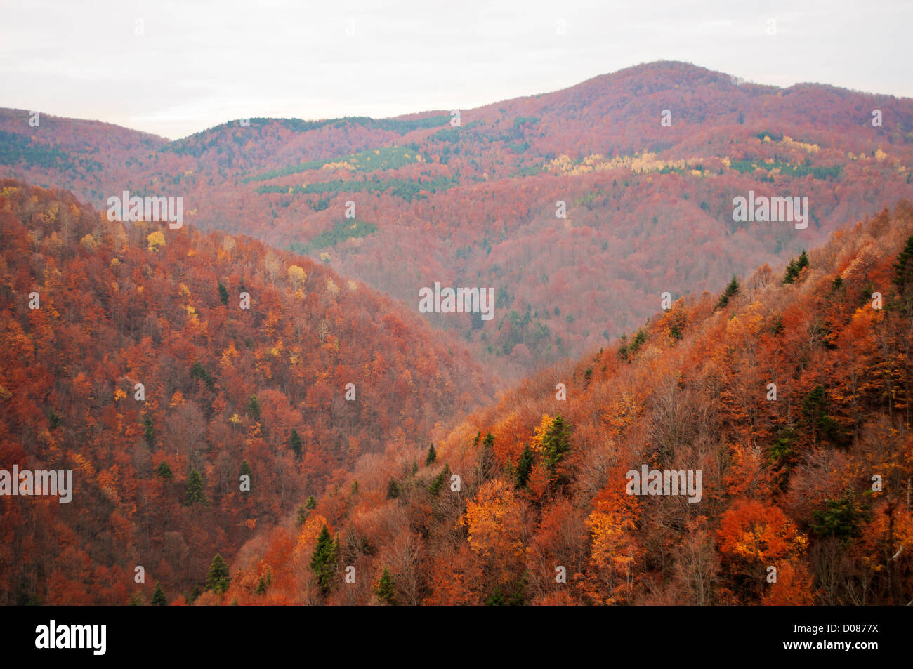 Breathtaking breathtakingly beautiful hi-res stock photography and ...