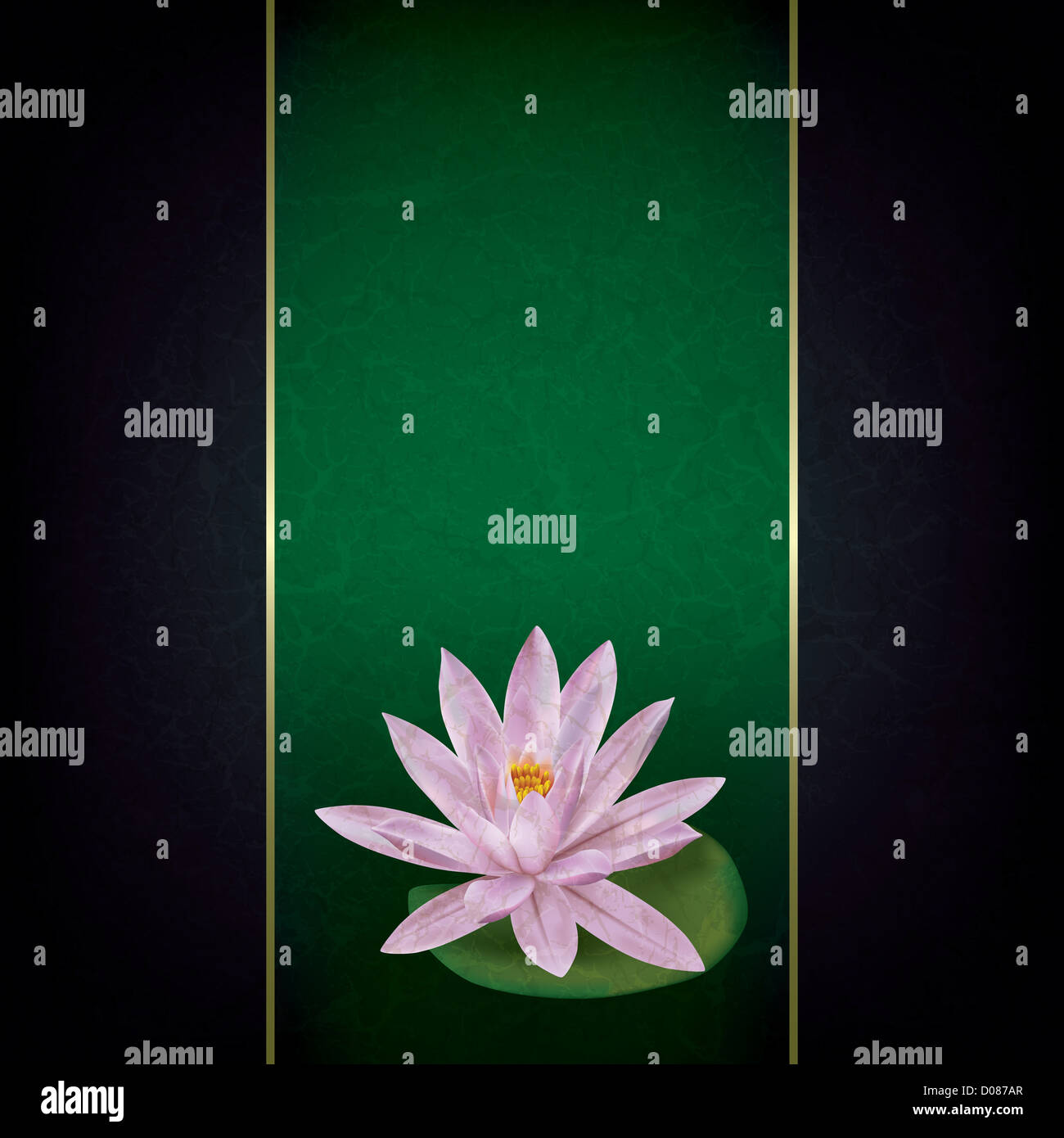 Lotus Flower Wallpapers Images Photos Pictures Backgrounds