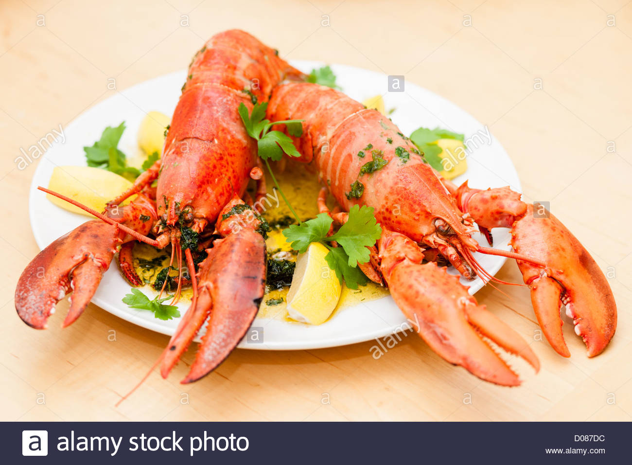 Lobster High Resolution Stock Photography and Images - Alamy
