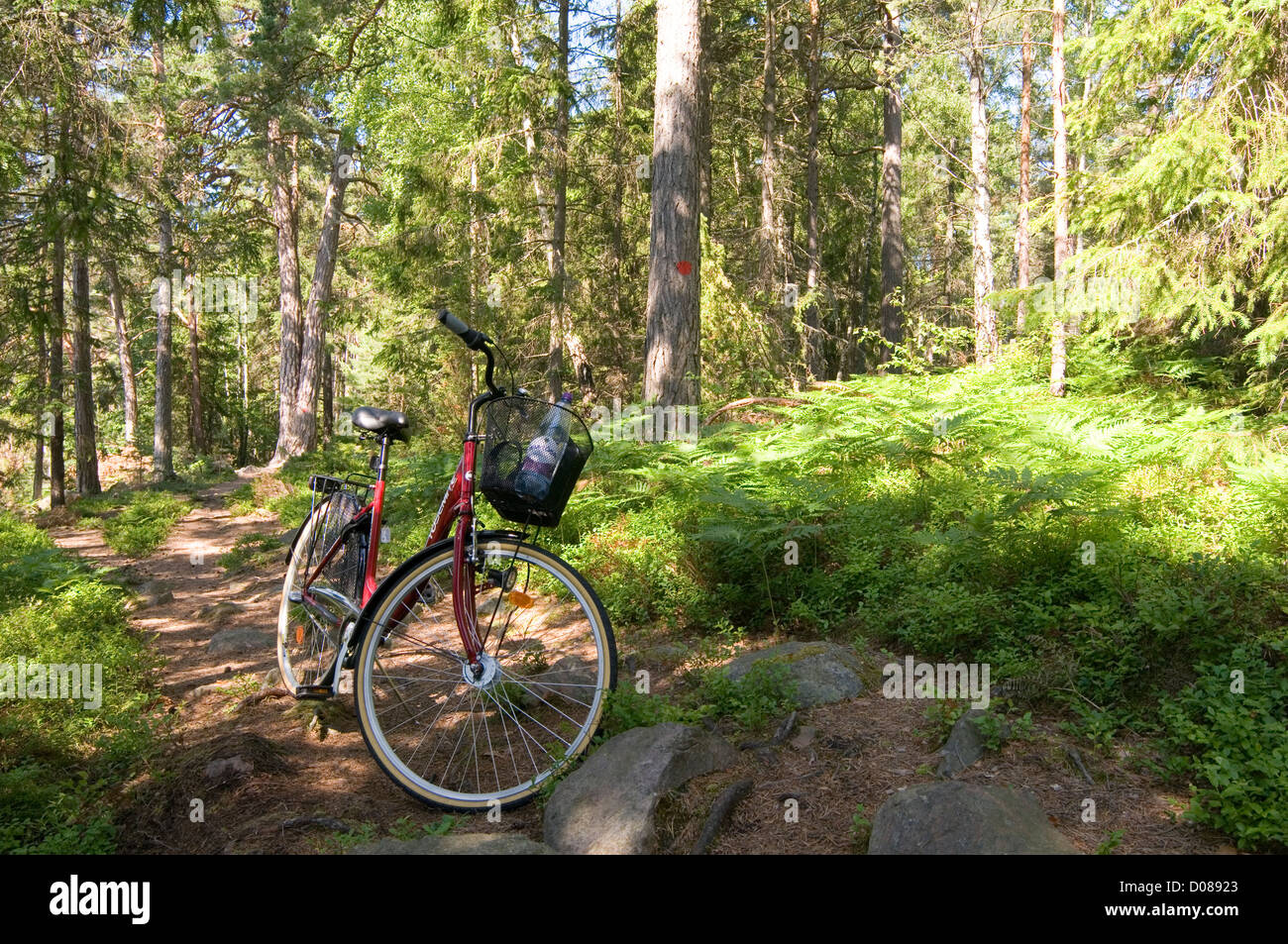 Sweden woods hi-res stock photography and images - Alamy