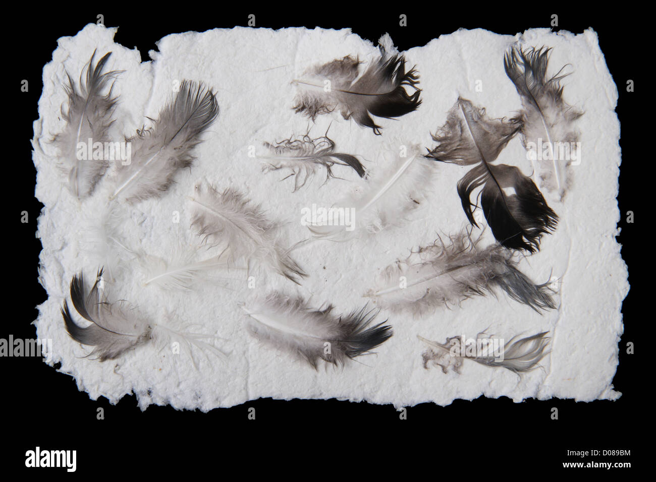 Recycled (vintage) paper. Great for background, art texture, and grunge ...