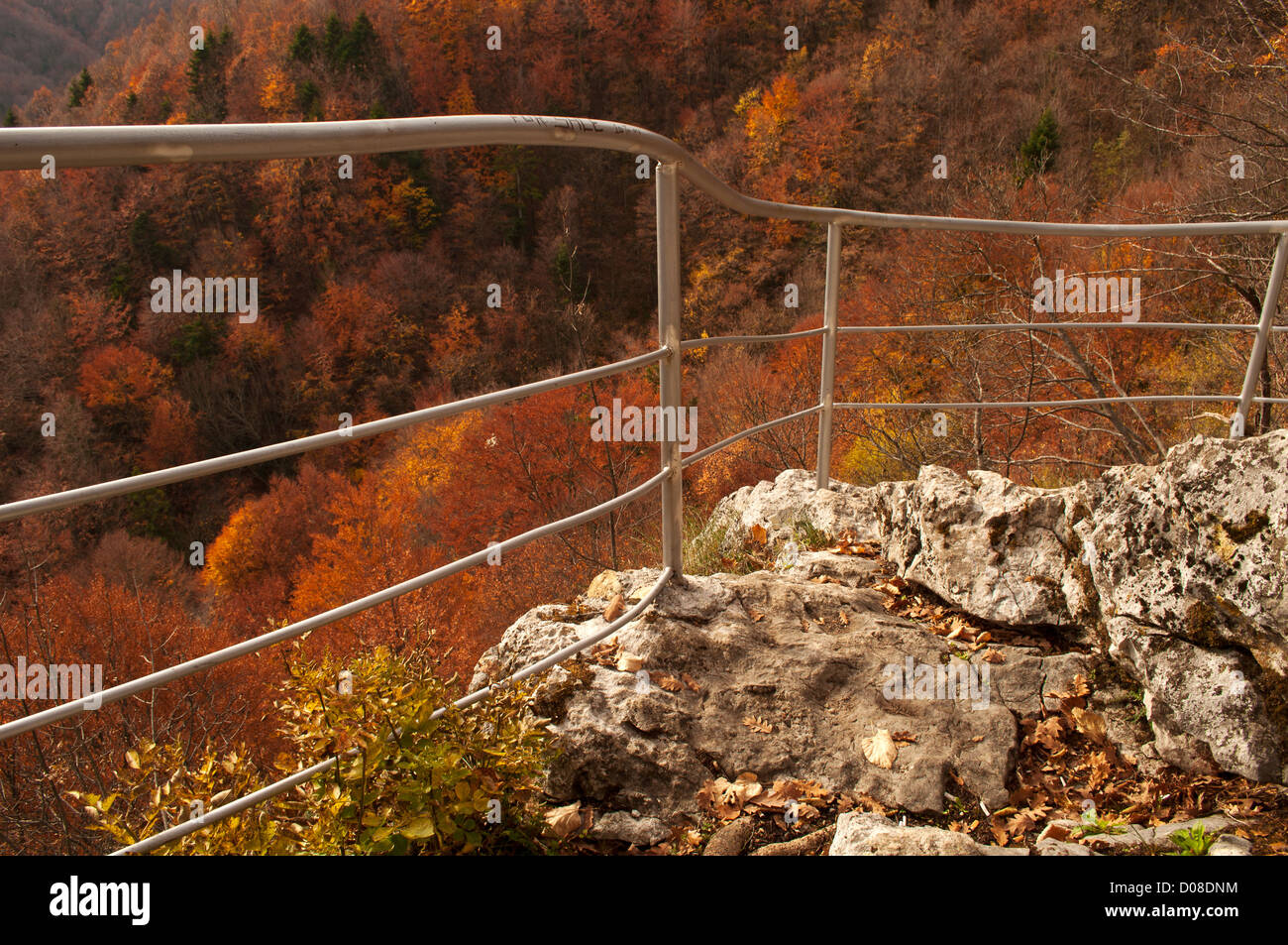 Forest vantage point hi-res stock photography and images - Alamy