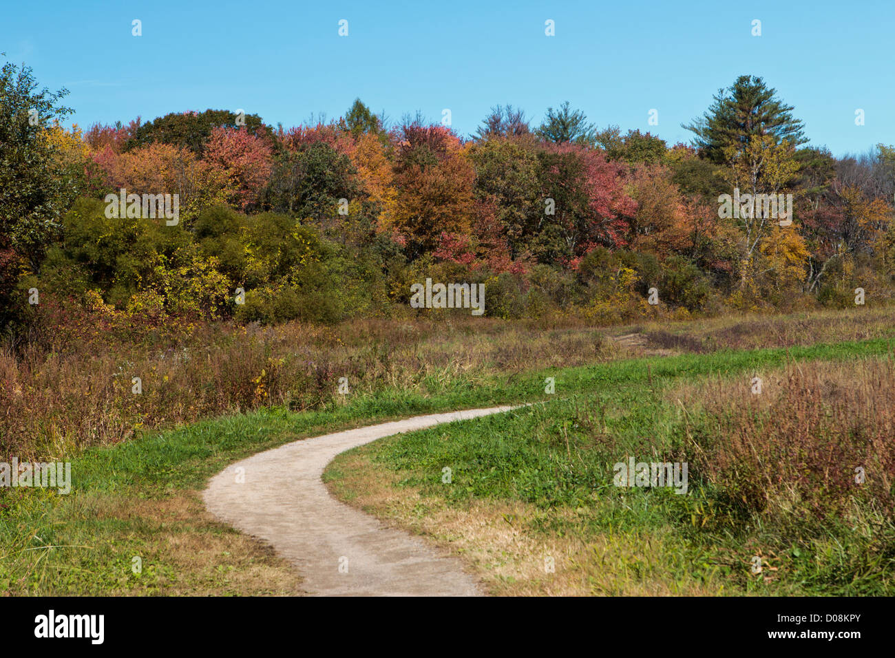 Nature walk pathway with colorful fall foliage Massachusetts US Stock ...