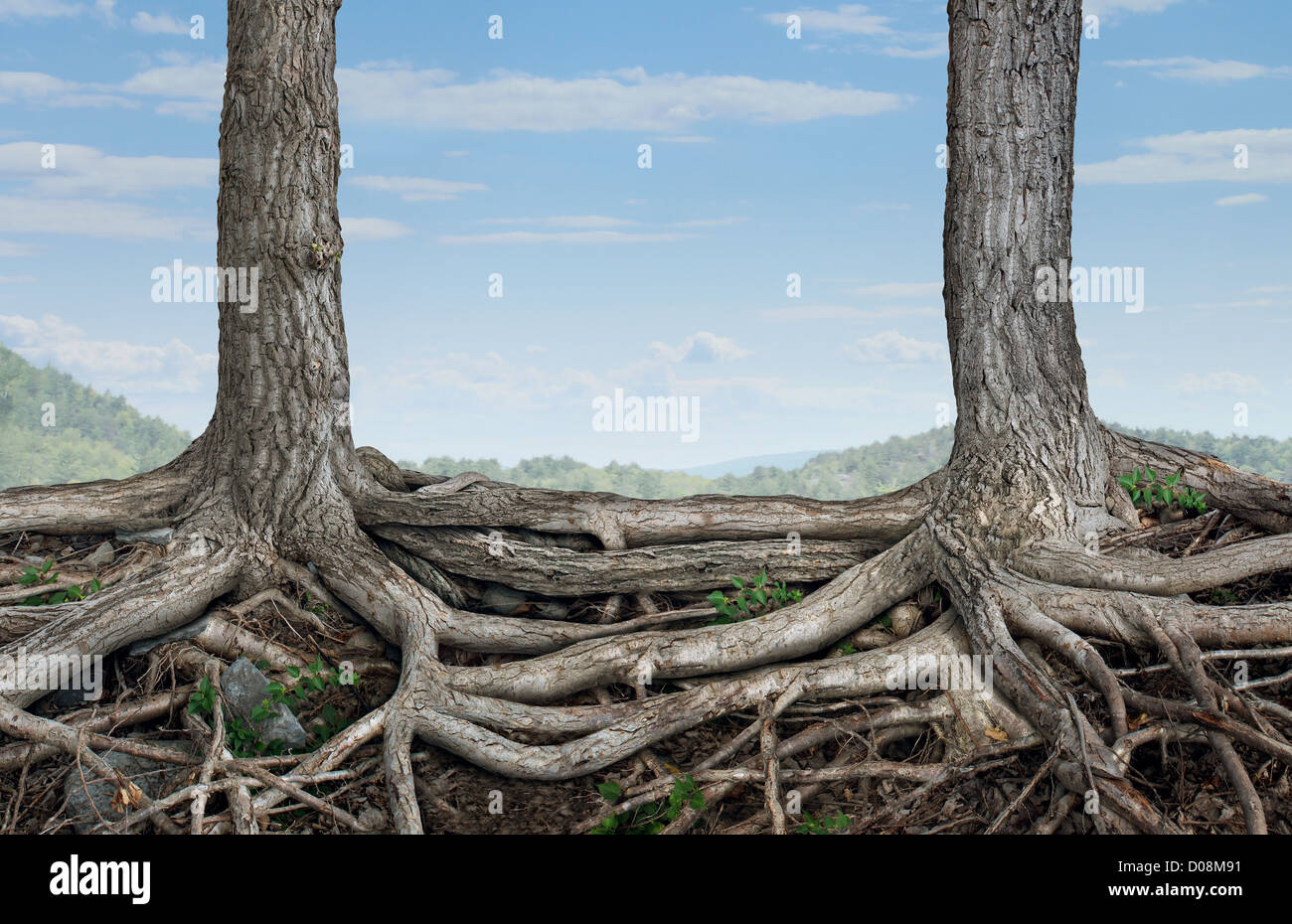 Strong partnership and foundation as a business concept of stability ...