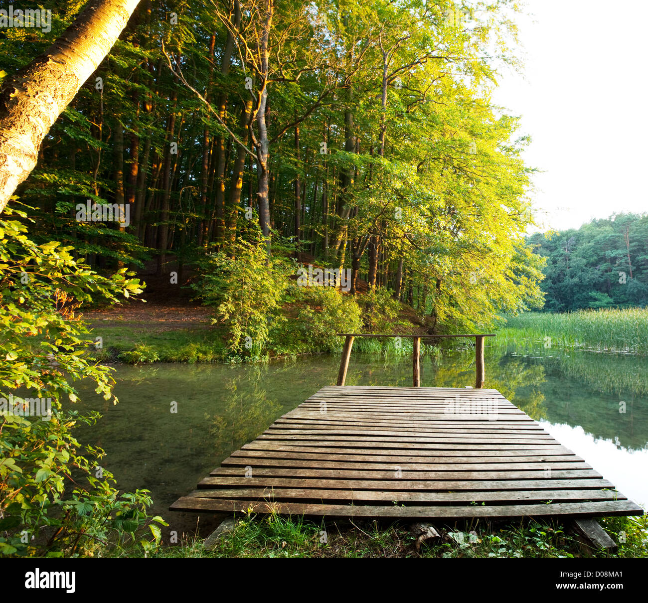Lake in forest Stock Photo - Alamy