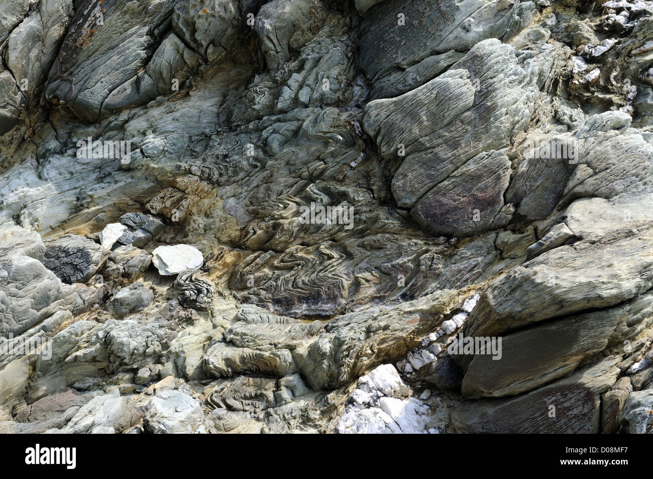 Rhoscolyn Anticline Precambrian Rocks Anglesey Wales Cymru UK GB Stock ...