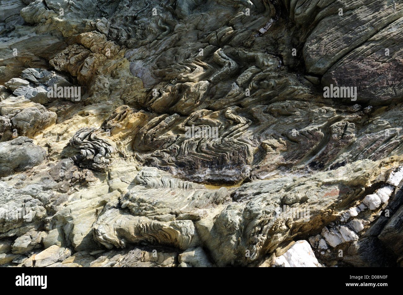 Rhoscolyn Anticline Precambrian Rocks Anglesey Wales Cymru UK GB Stock ...