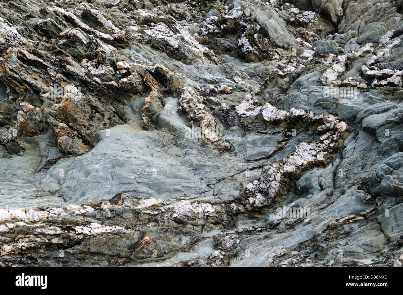 Rhoscolyn Anticline Precambrian Rocks Anglesey Wales Cymru UK GB Stock ...