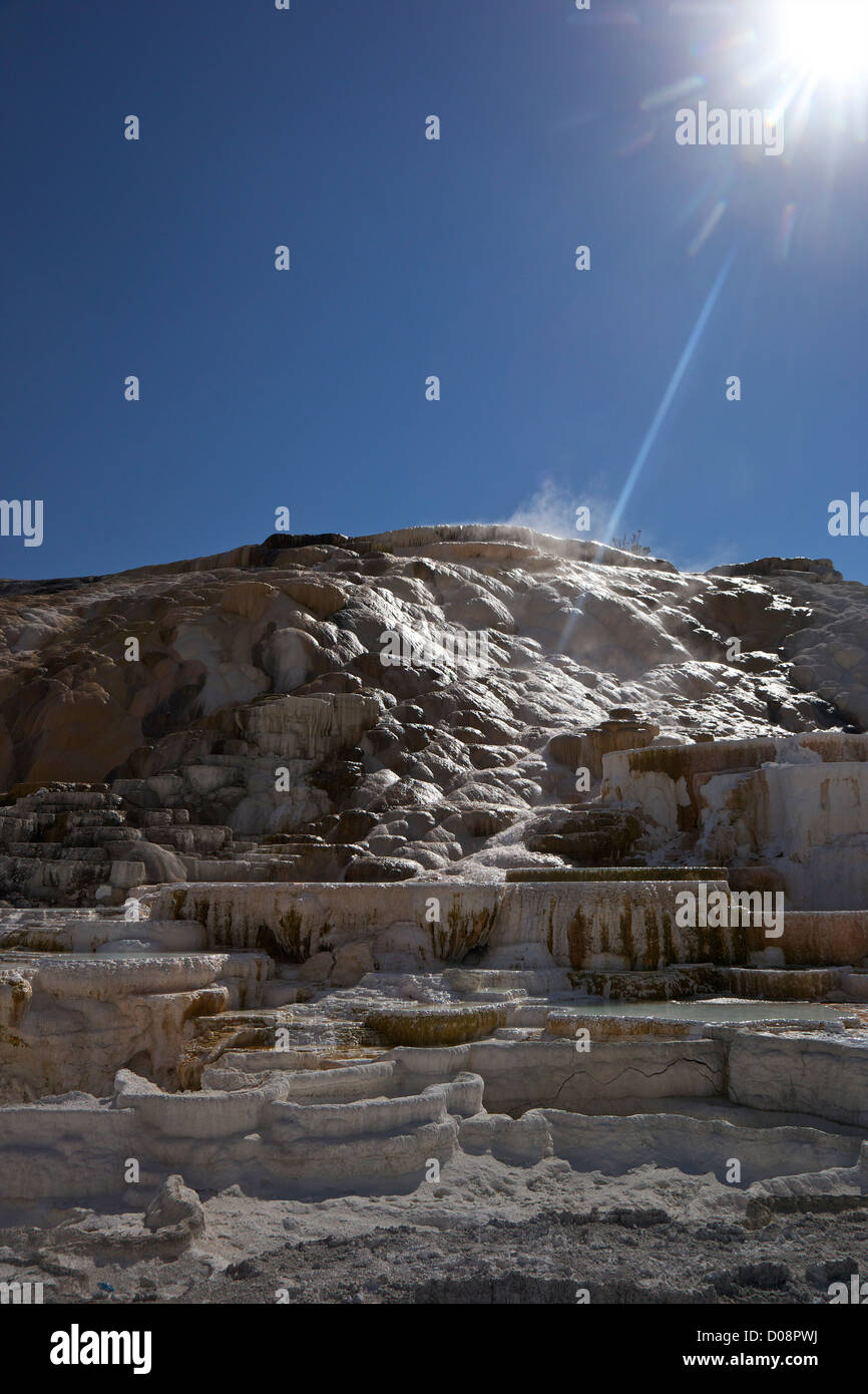 Palette Spring, Mammoth Hot Springs, Yellowstone National Park, Wyoming ...