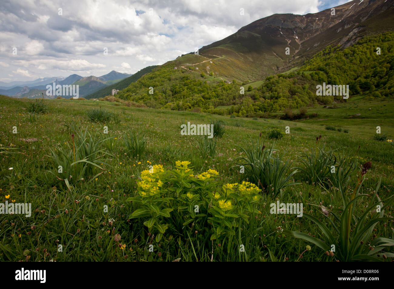 Puerto de san glorio hi-res stock photography and images - Alamy