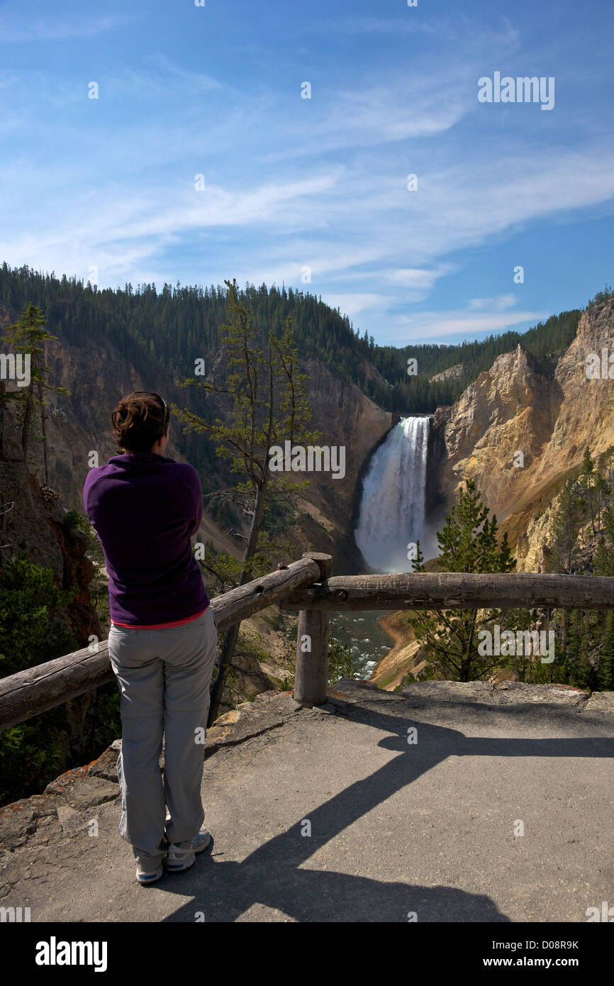 Young woman taking photo of Lower Falls from Red Rock Point, Grand ...