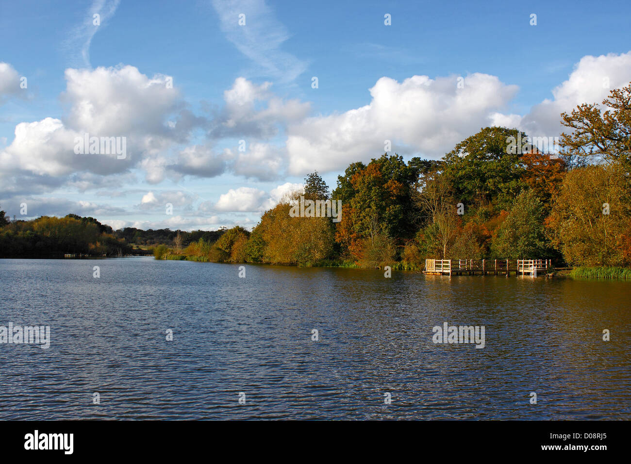 AUTUMN LAKE AT HATFIELD FOREST ESSEX Stock Photo - Alamy
