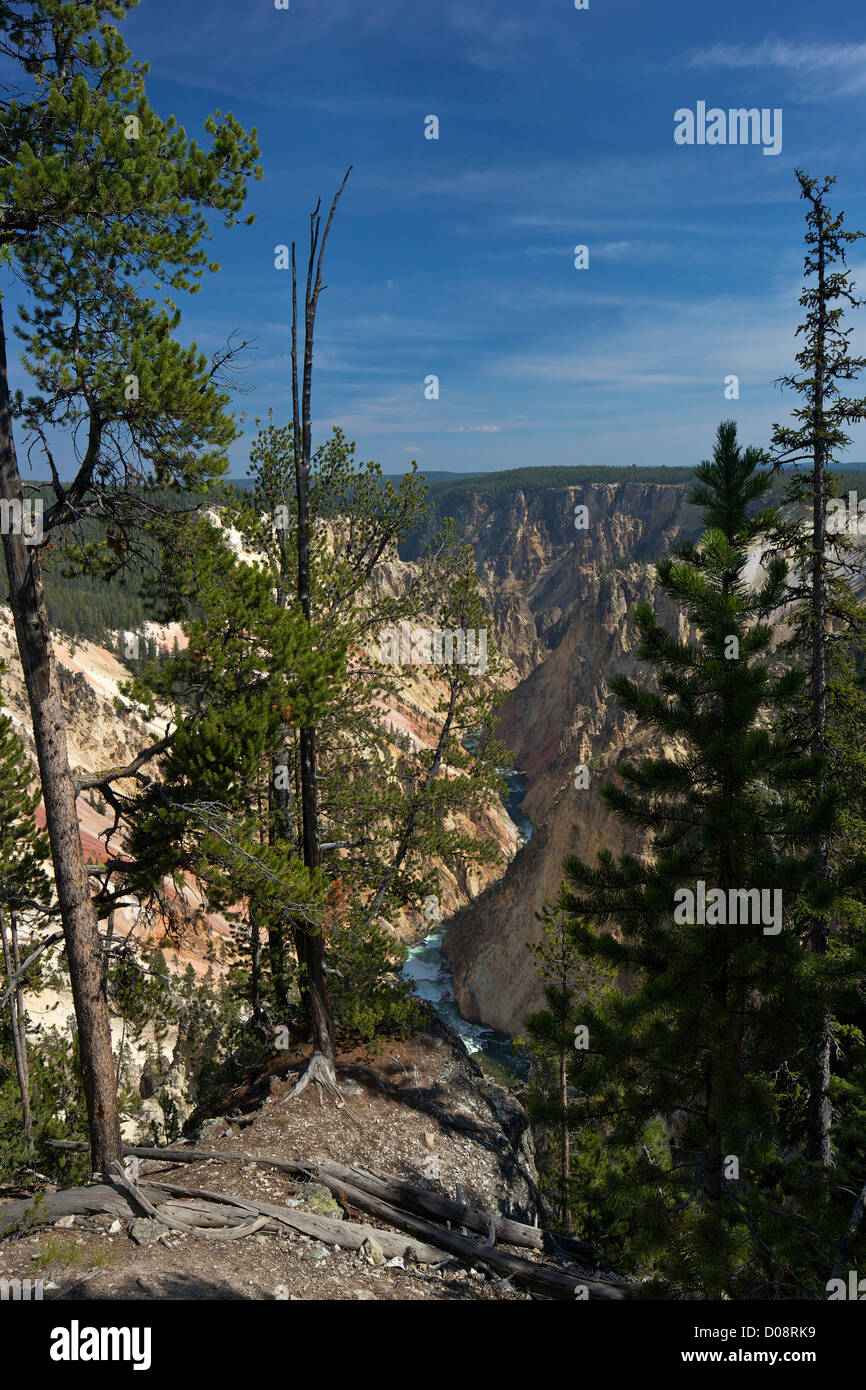 Yellowstone view hi-res stock photography and images - Alamy