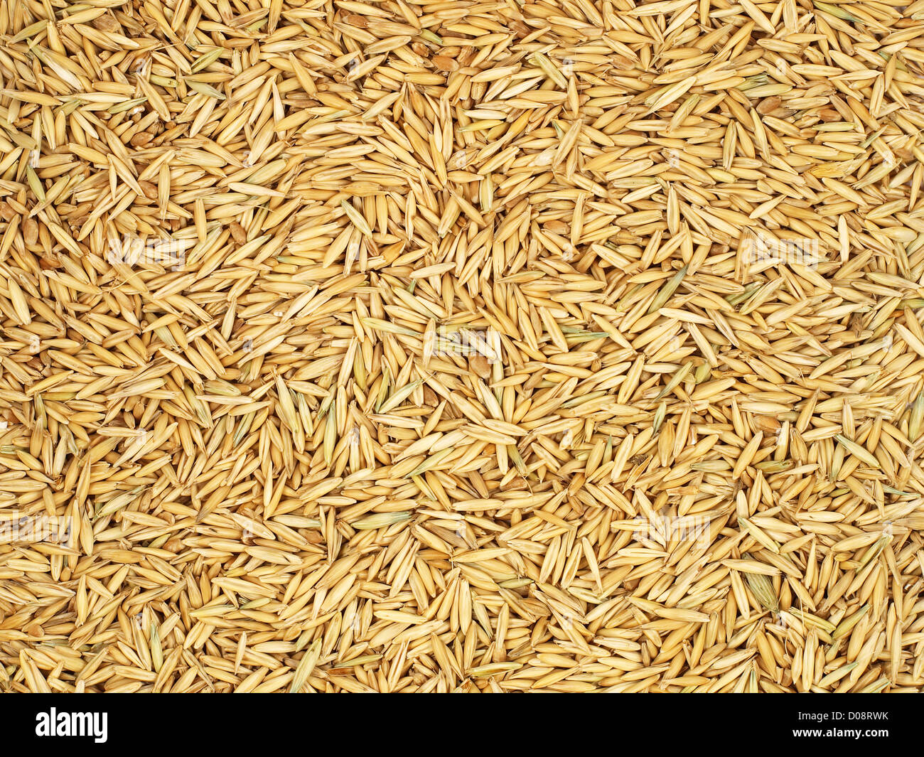 Oats grains as background Stock Photo - Alamy