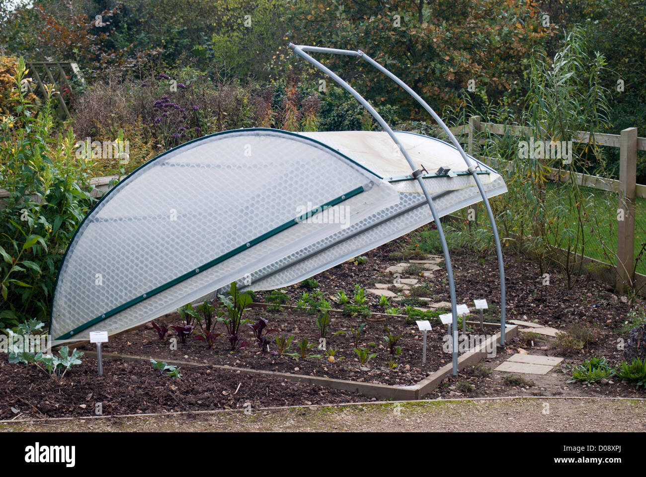 A large plastic covered cold frame Stock Photo - Alamy