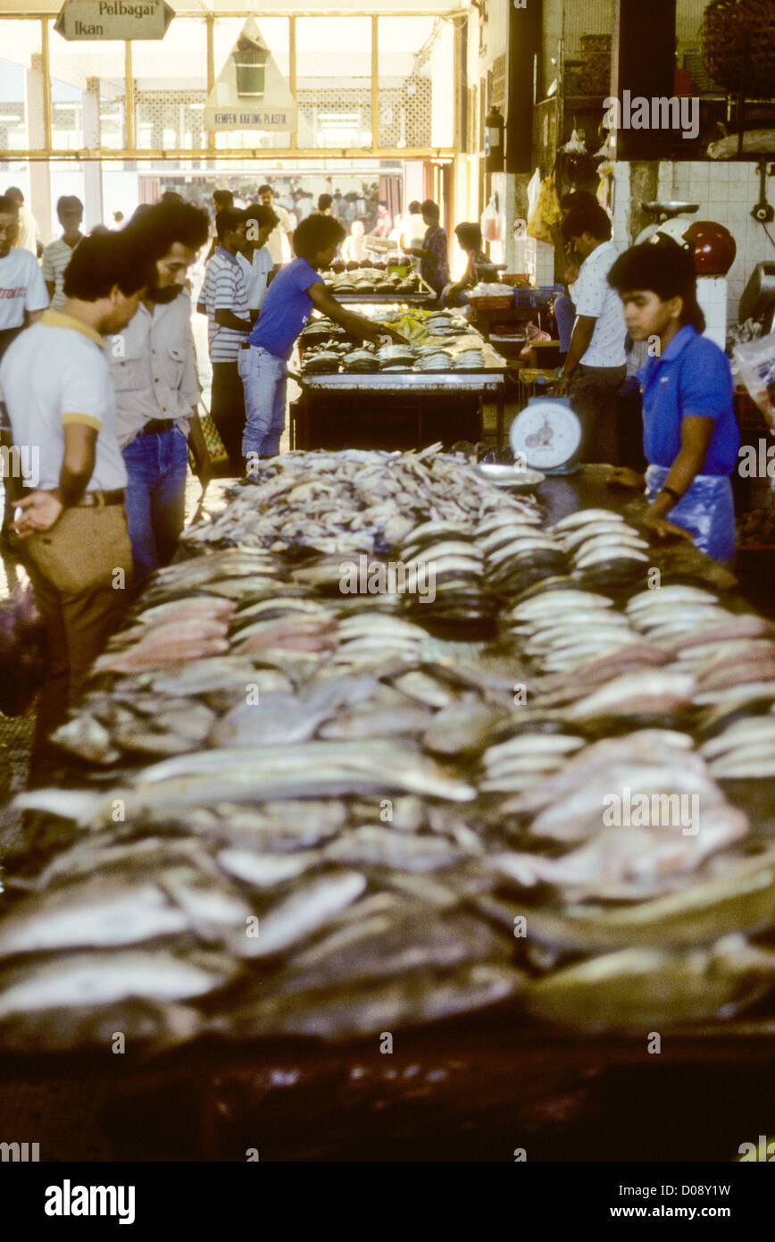 Most important wholesale east coast fish market hi-res stock ...