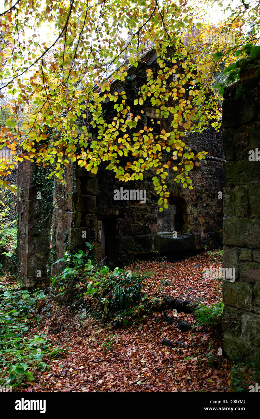 The remains of old wartime gunpowder factory on the River North Esk ...