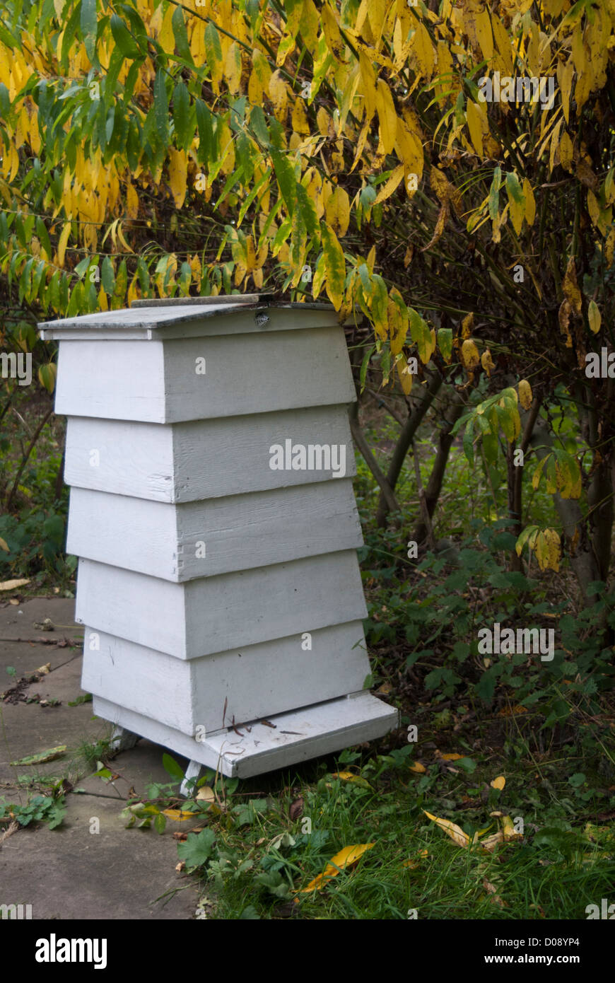 Traditional bee hive hi-res stock photography and images - Alamy