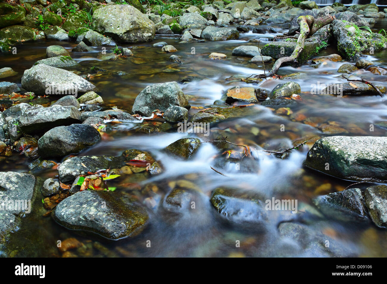 water spring in forest Stock Photo - Alamy